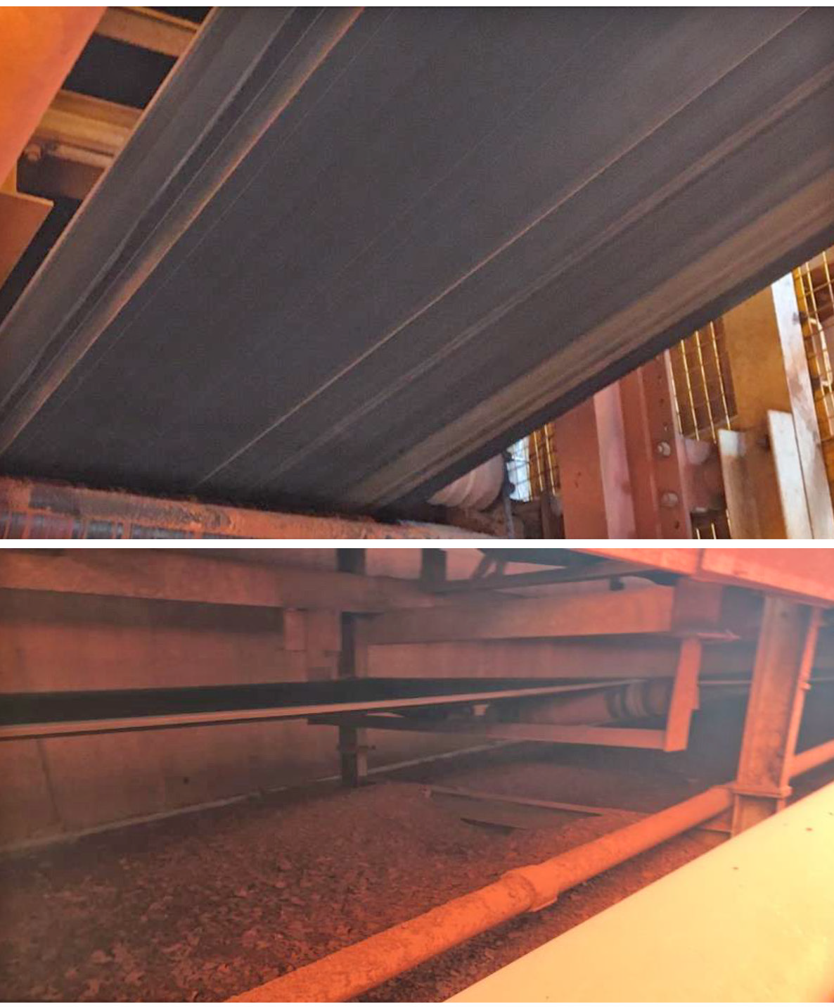 Why Choose Profile Clean – CONVEYOR