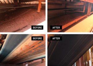 CONVEYOR PROFILE CLEAN CASE STUDY